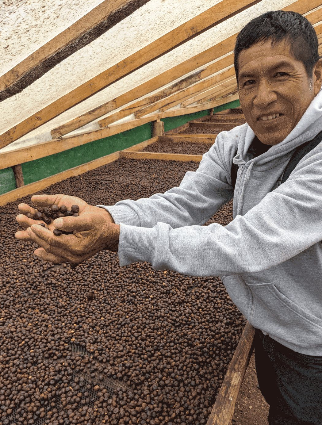 Natural Process Coffee | Naturally Processed Coffee – Sunrise Trading llc