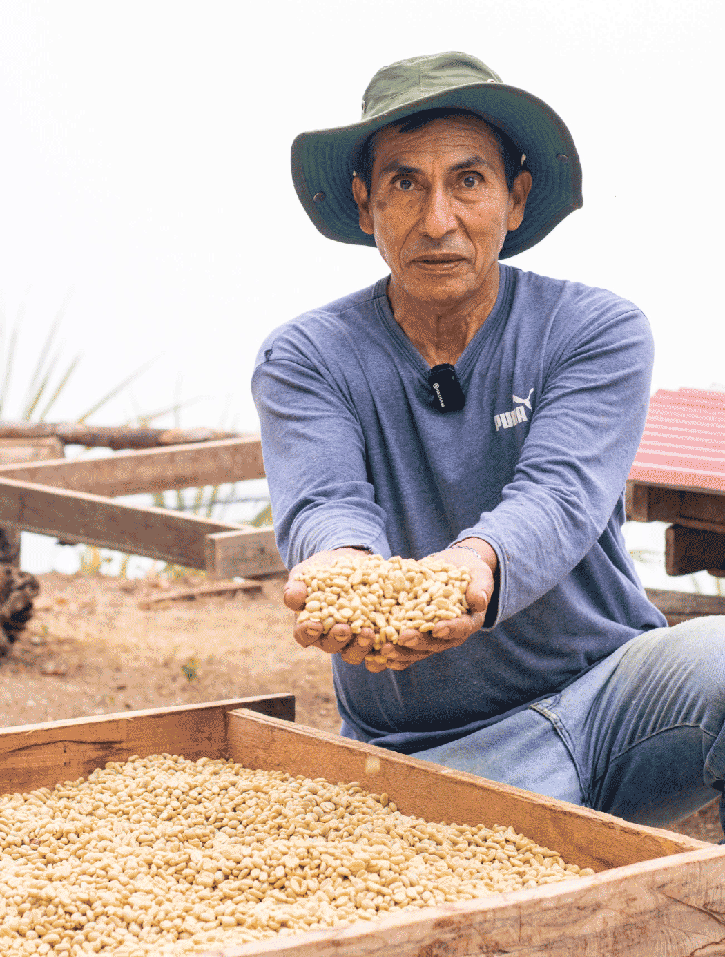 Washed Coffees | Wet Processed Coffee Beans – Sunrise Trading llc