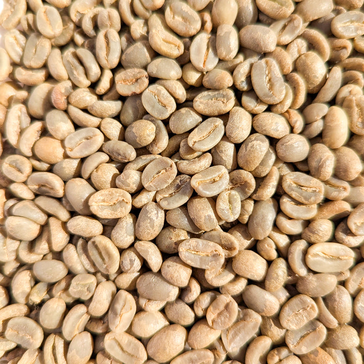 Sunrise Trading: Single-Origin & Micro-Lot Coffee – Sunrise Trading llc