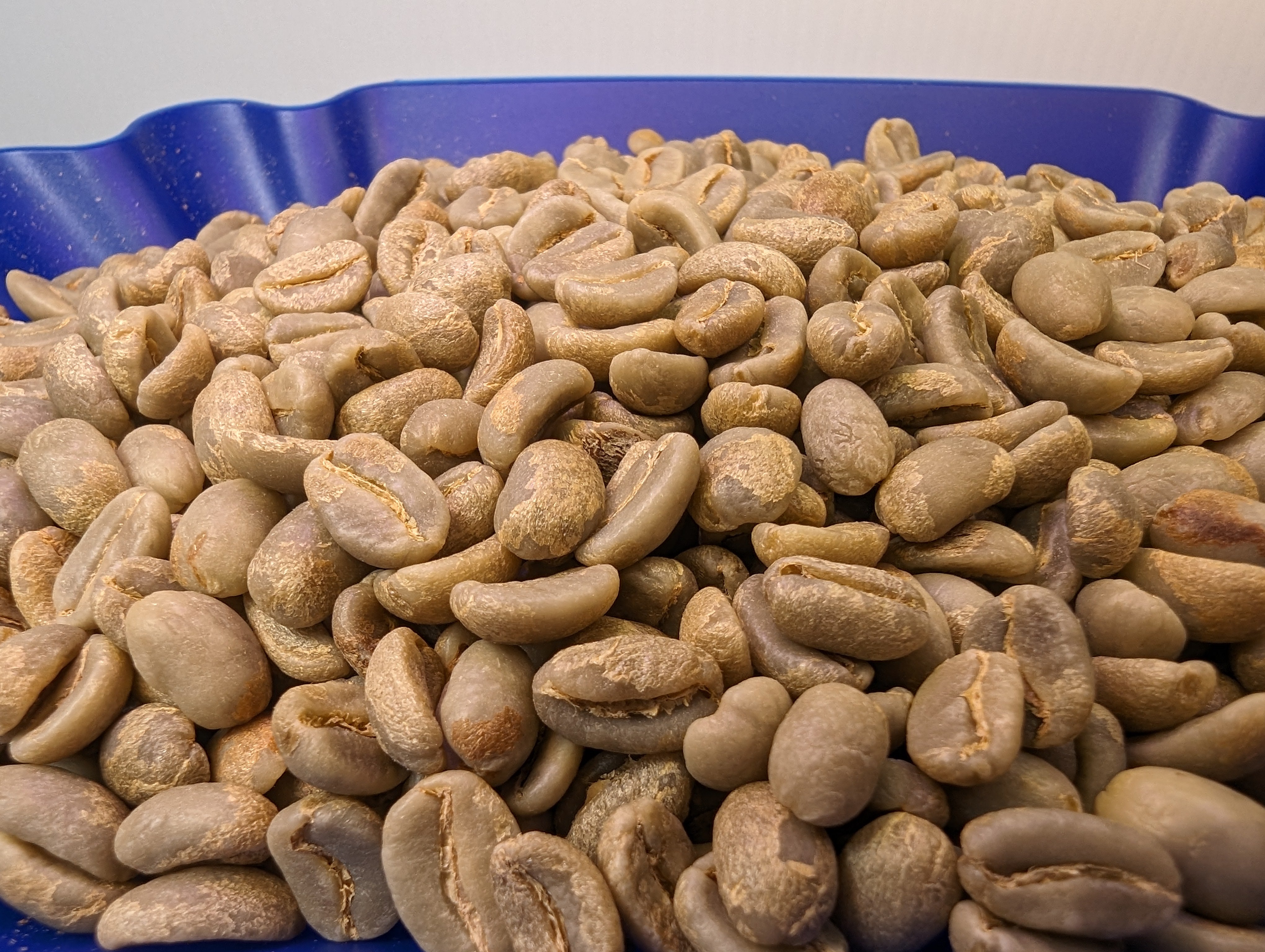 Sunrise Trading: Single-Origin & Micro-Lot Coffee – Sunrise Trading llc